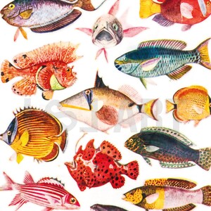 Fish Group Watercolor Digital Print Instant Download Printable Wall Art ...