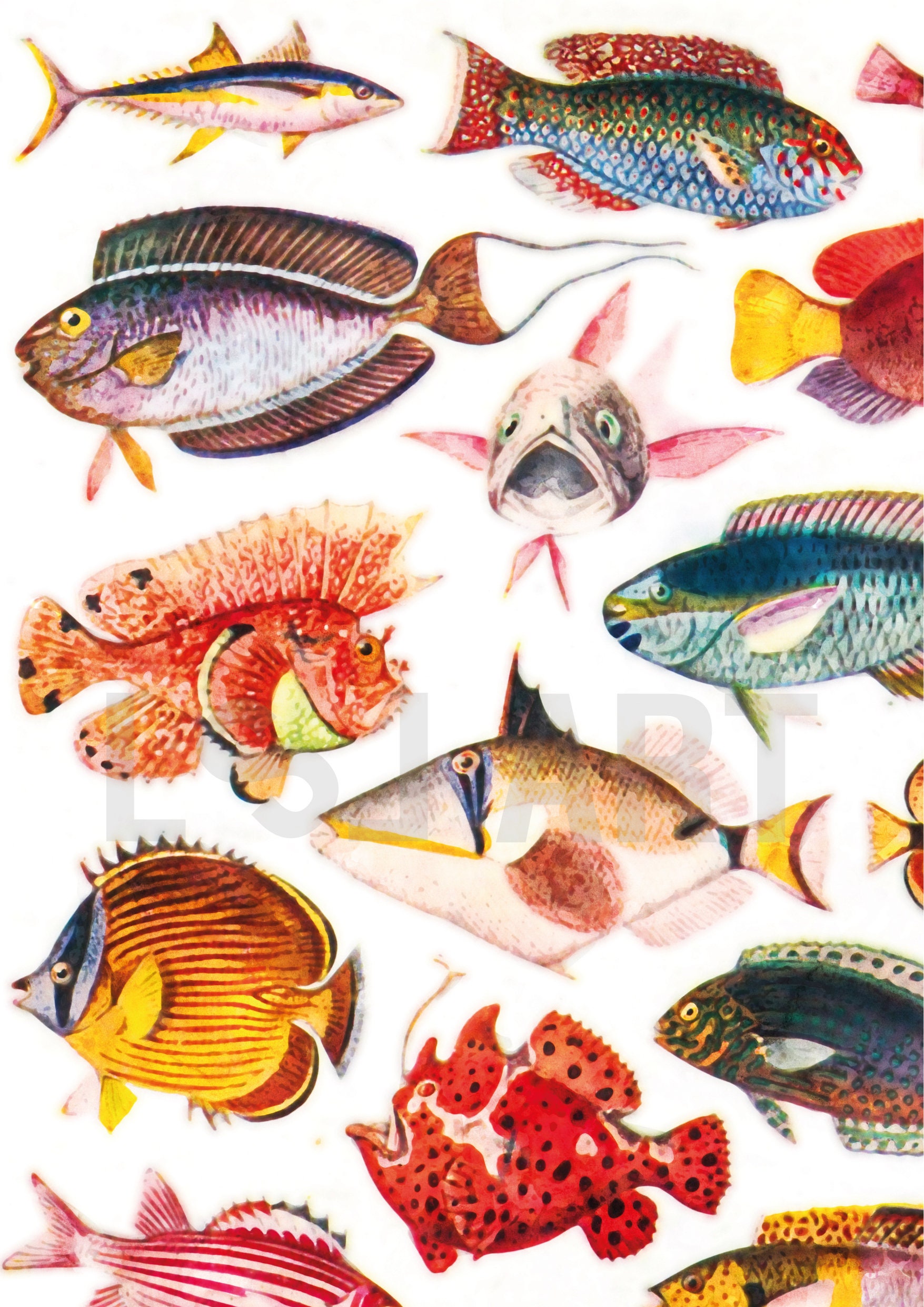 Fish Group Watercolor Digital Print Instant Download Printable Wall Art ...