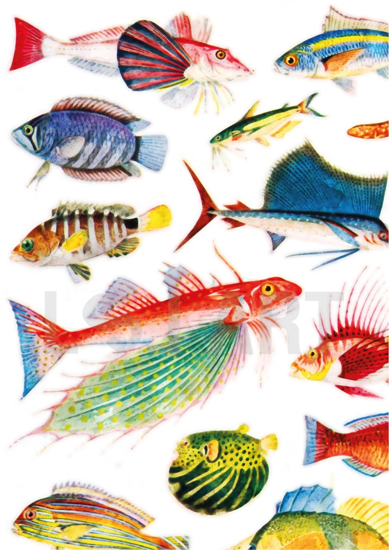 Fish Group Watercolor Digital Print Instant Download Printable Wall Art ...