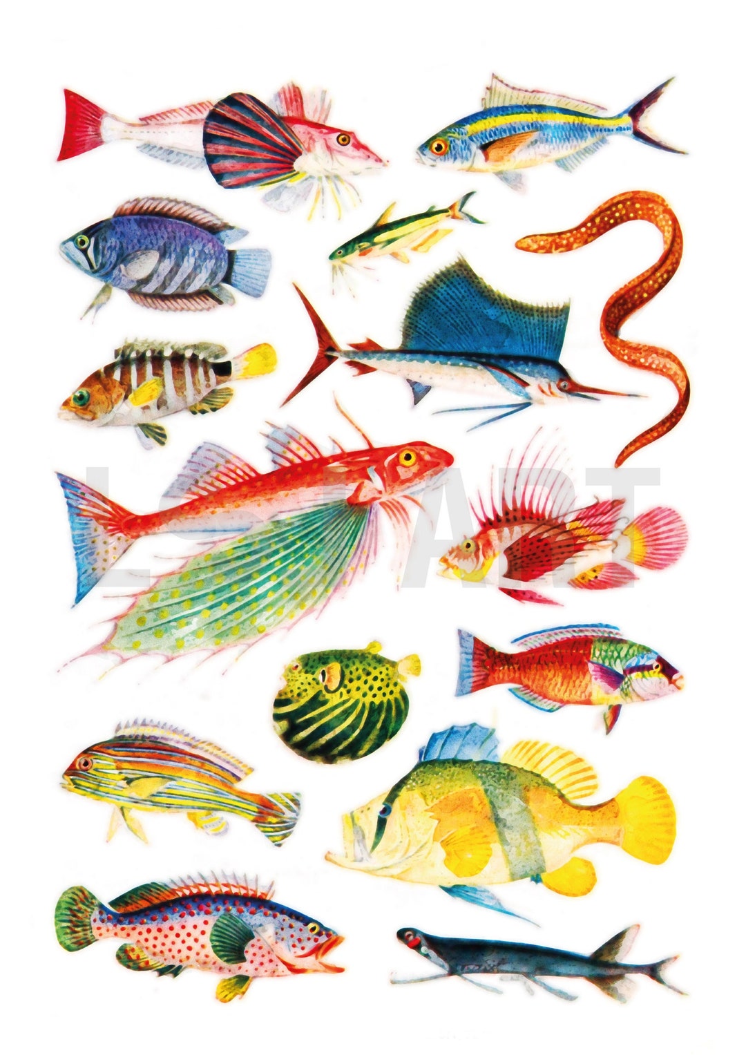 Fish Group Watercolor Digital Print Instant Download Printable Wall Art ...