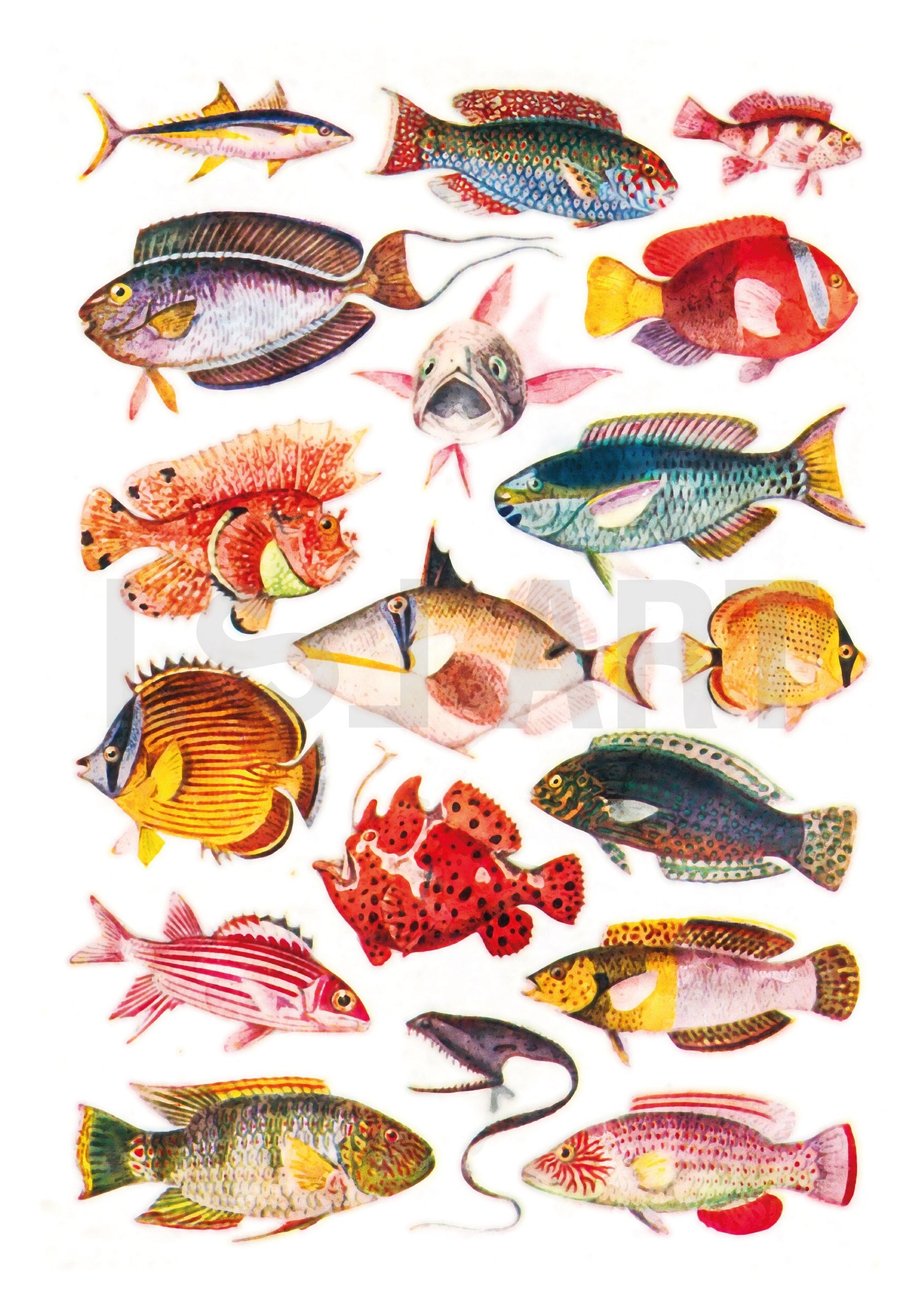 Fish Group Watercolor Digital Print Instant Download Printable Wall Art ...