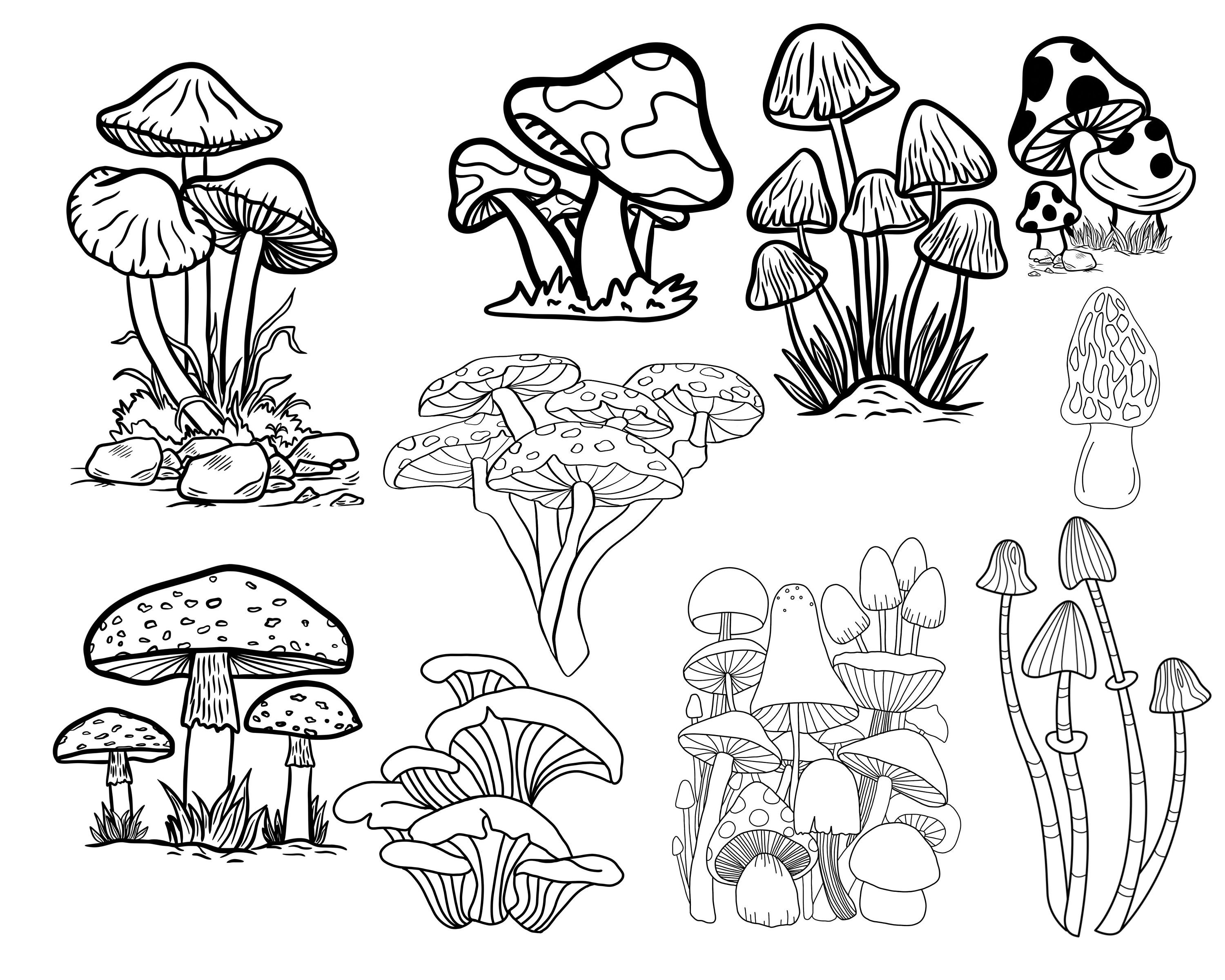 Mushrooms Bundle SVG Cutting File for Cricut Sublimation Design PNG ...