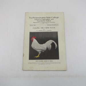 1923 Culling the Farm Flock, Poultry Guide, Poultry Management, Chicken ...