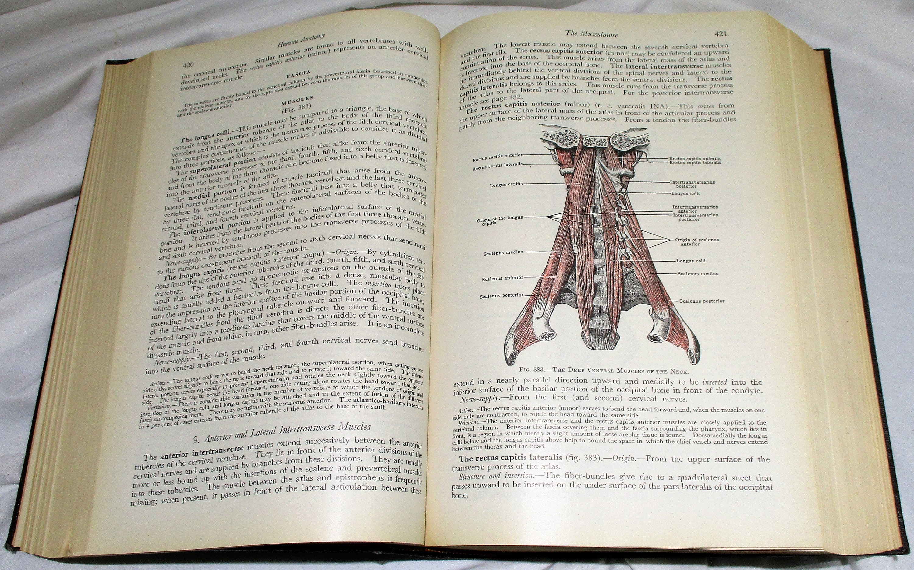 1942 Morris Human Anatomy, Classic Anatomy, Dissection, Physiology ...