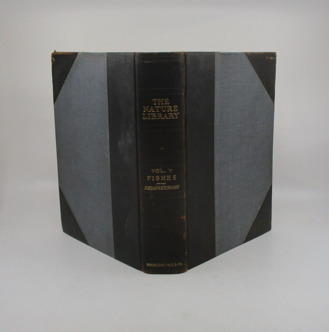 1908 American Food and Game Fishes Book: Angling, Ichthyology - Etsy