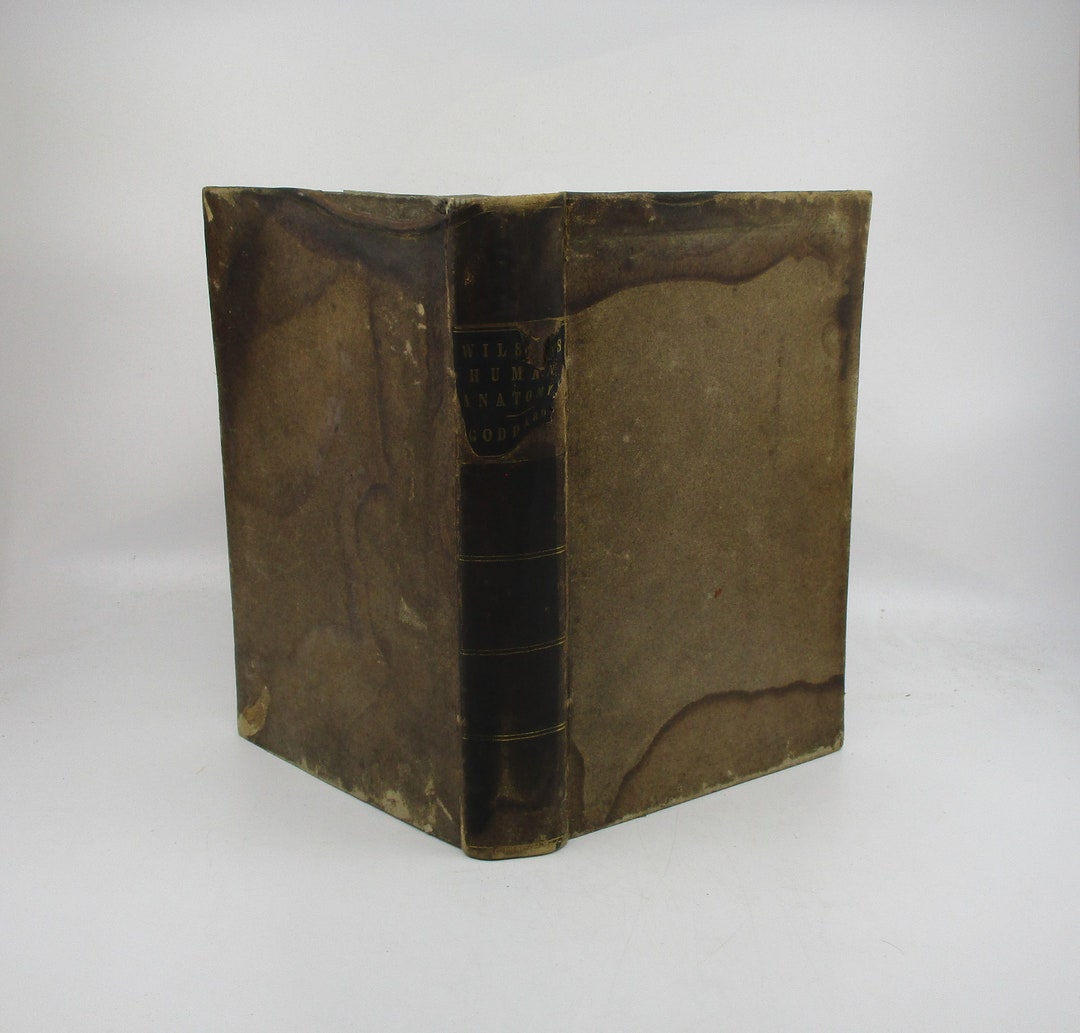 1850 Human Anatomy, Pathology, Physiology, Internal Medicine, Diseases ...