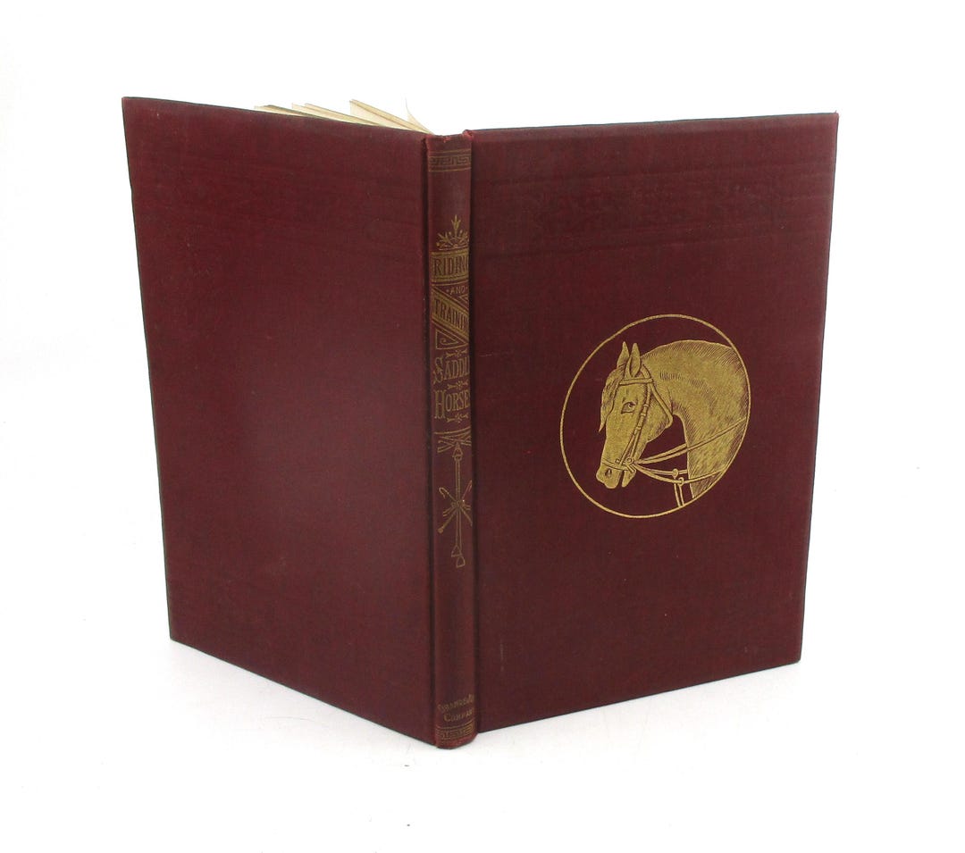 1908 the Saddle Horse, Riding and Training Guide, Equine and Equestrian ...