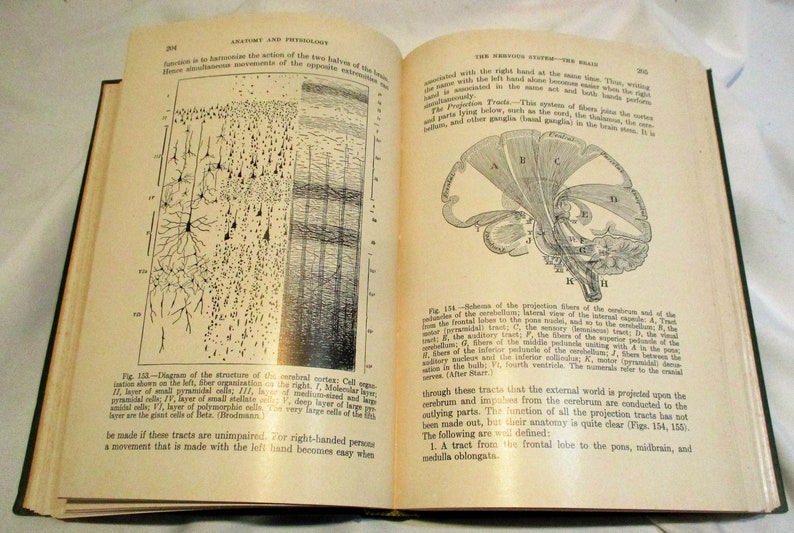 1950 Anatomy & Physiology Textbook: Vintage Medical Reference - Etsy
