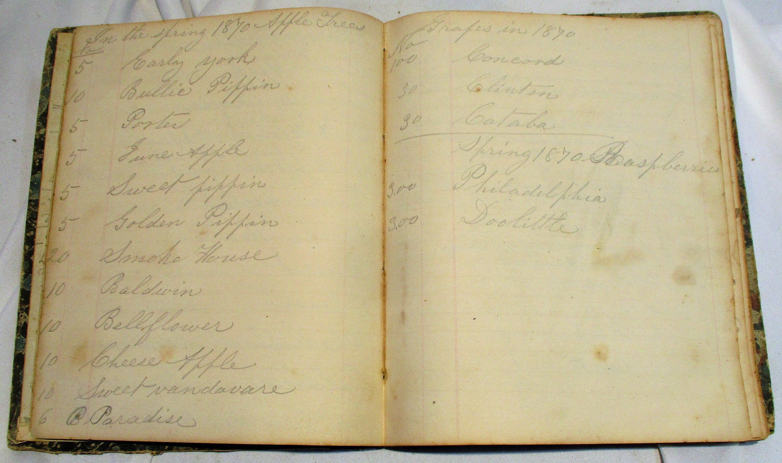 1869 to 1876 Ledger, Orchard Planning by P. A. Myers, Family Farming ...