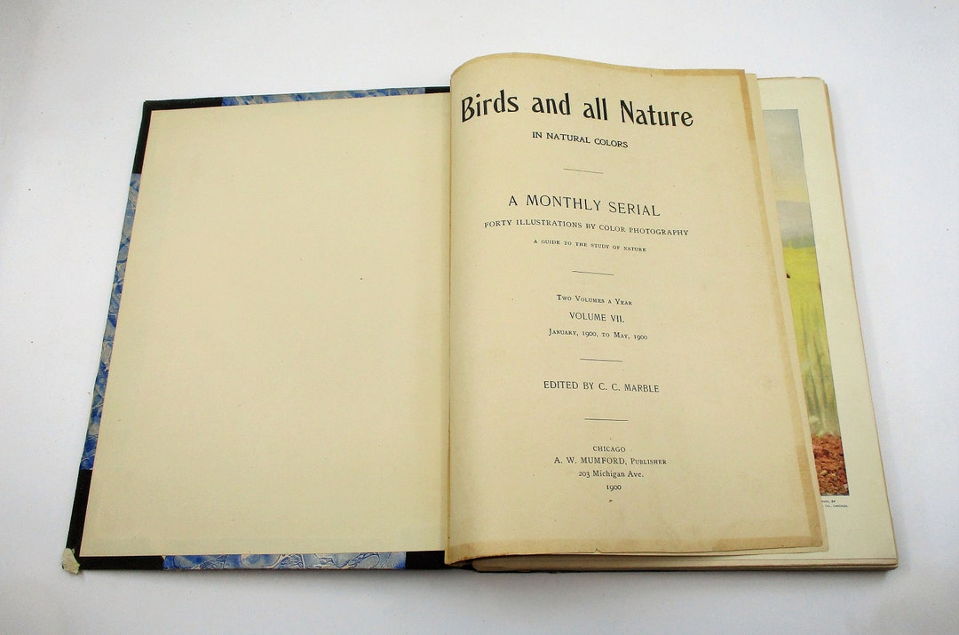 1900 Bird and Nature Book, Ornithology and Natural Science Bound ...