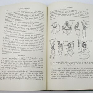 1948 Introduction to Vertebrate Embryology, Zoology, Biology, Natural ...