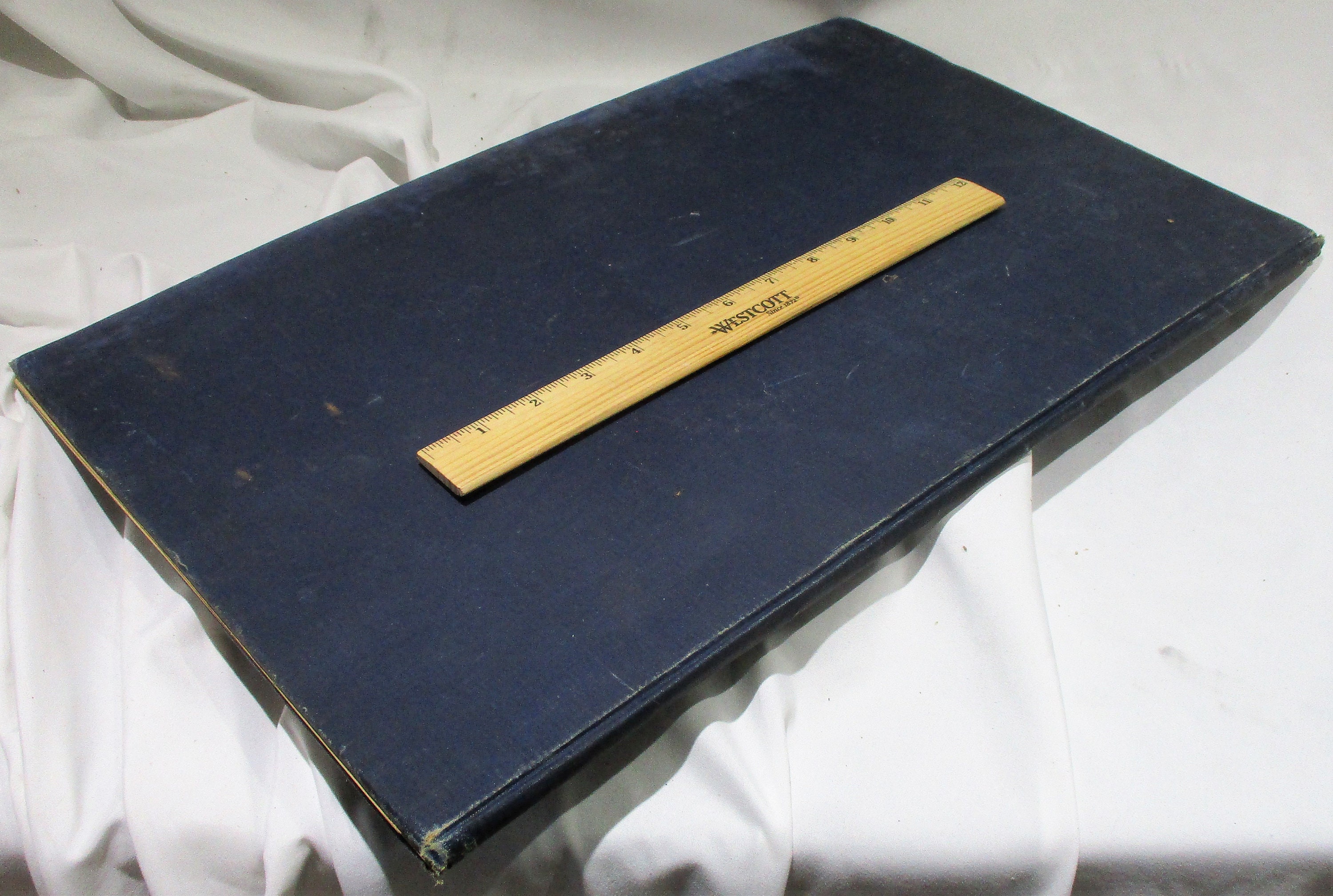 1923 Synoptic Chart of Skin Diseases: Vintage Medical Book With Color ...