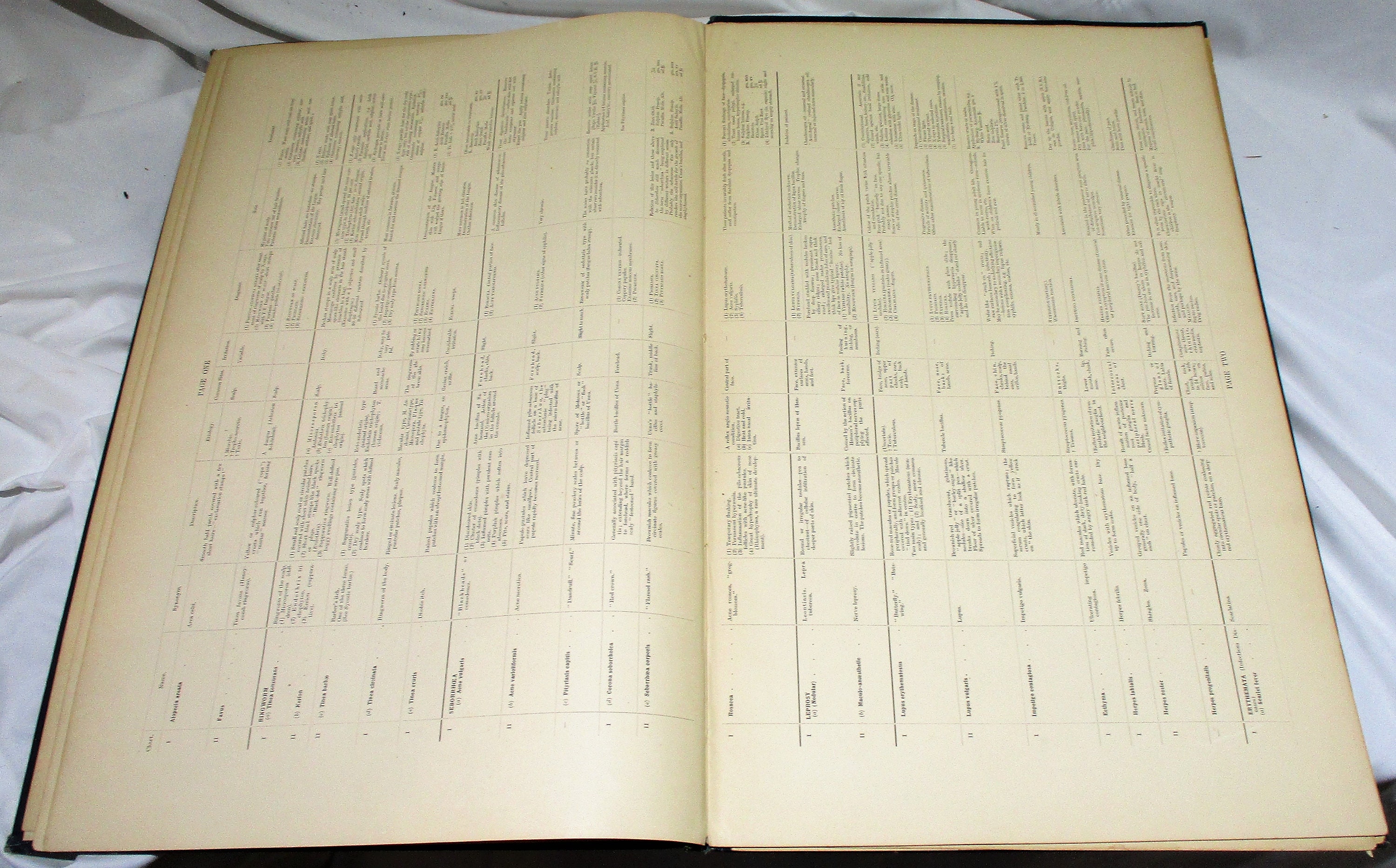 1923 Synoptic Chart of Skin Diseases: Vintage Medical Book With Color ...