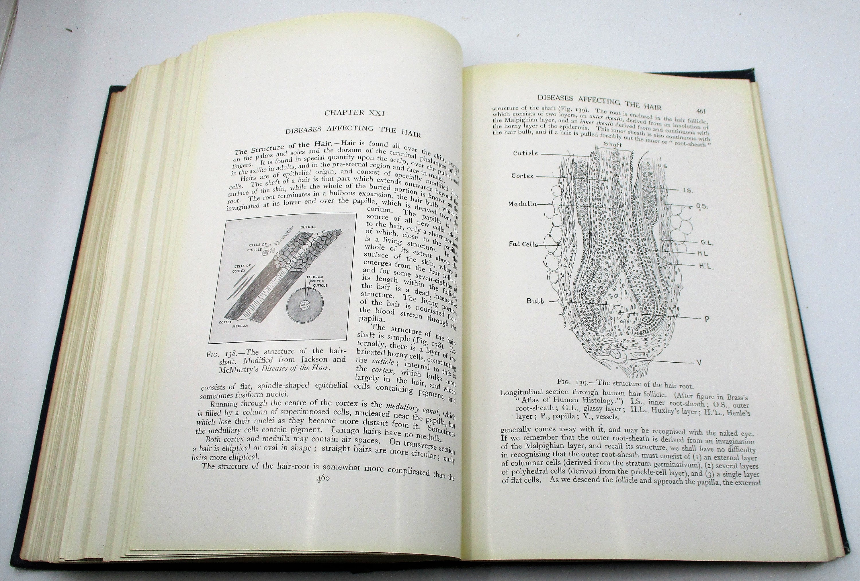 1937 Diseases of the Skin, Vintage Dermatology Medicine Book, Skin ...