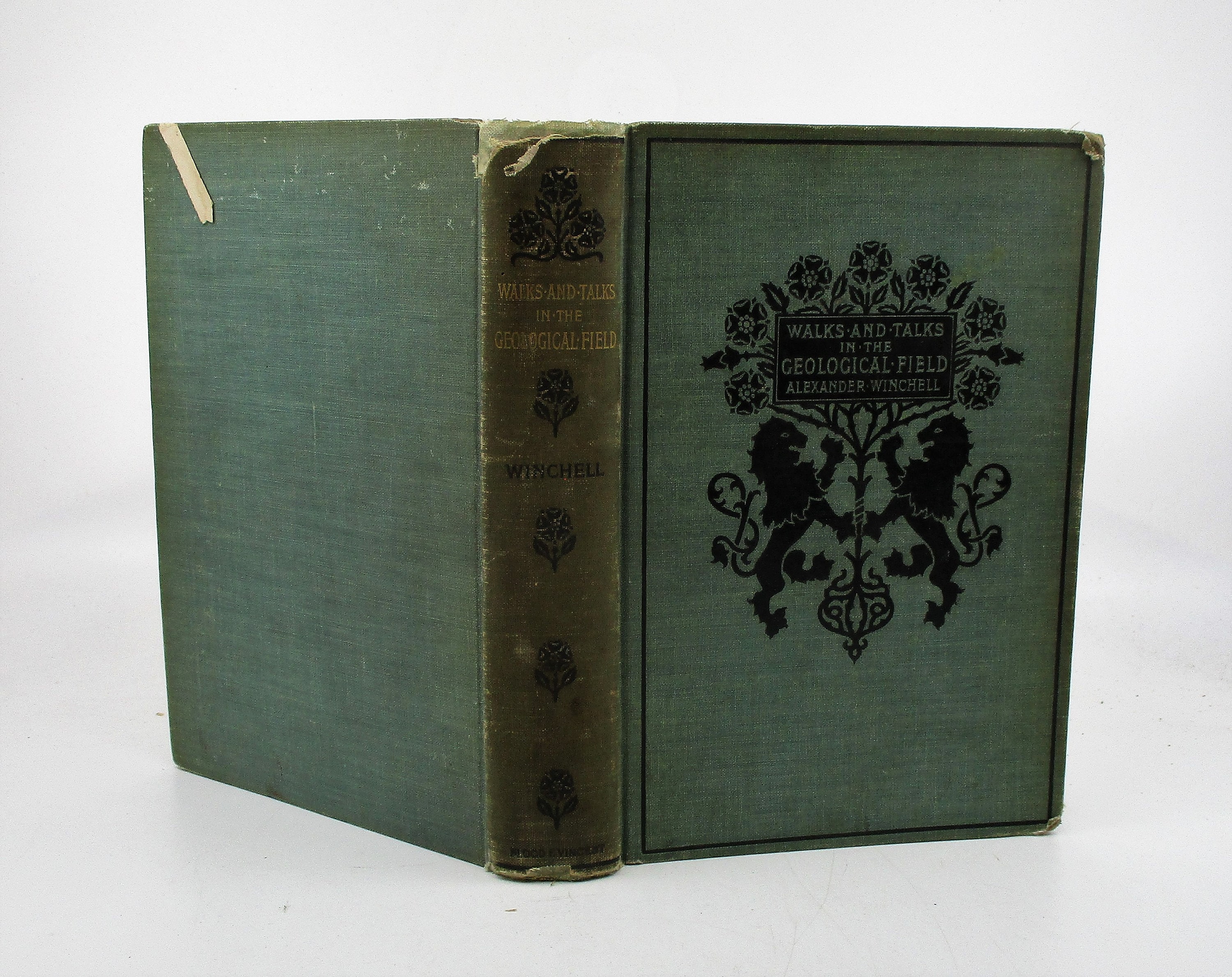 1898 Geology Book, Walks and Talks in the Geological Field, Antiquarian ...