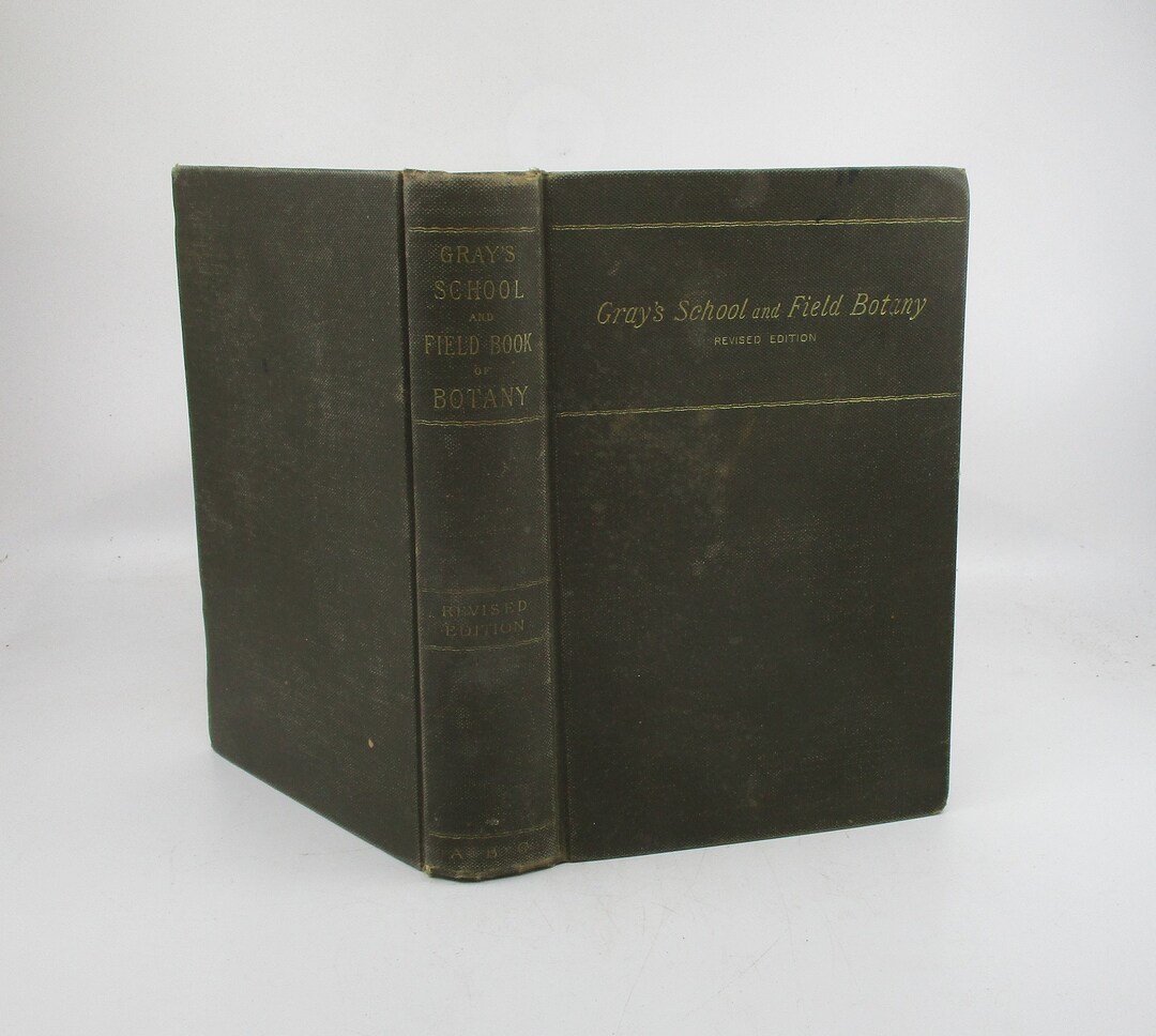1887 Gray's Botany, the Elements of Botany, Old Flowering Plants and ...