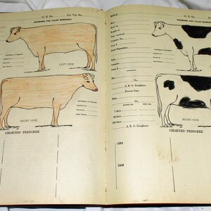 Holstein Friesian Cattle Herd Register, Cattle and Cow Breeding Ledger ...