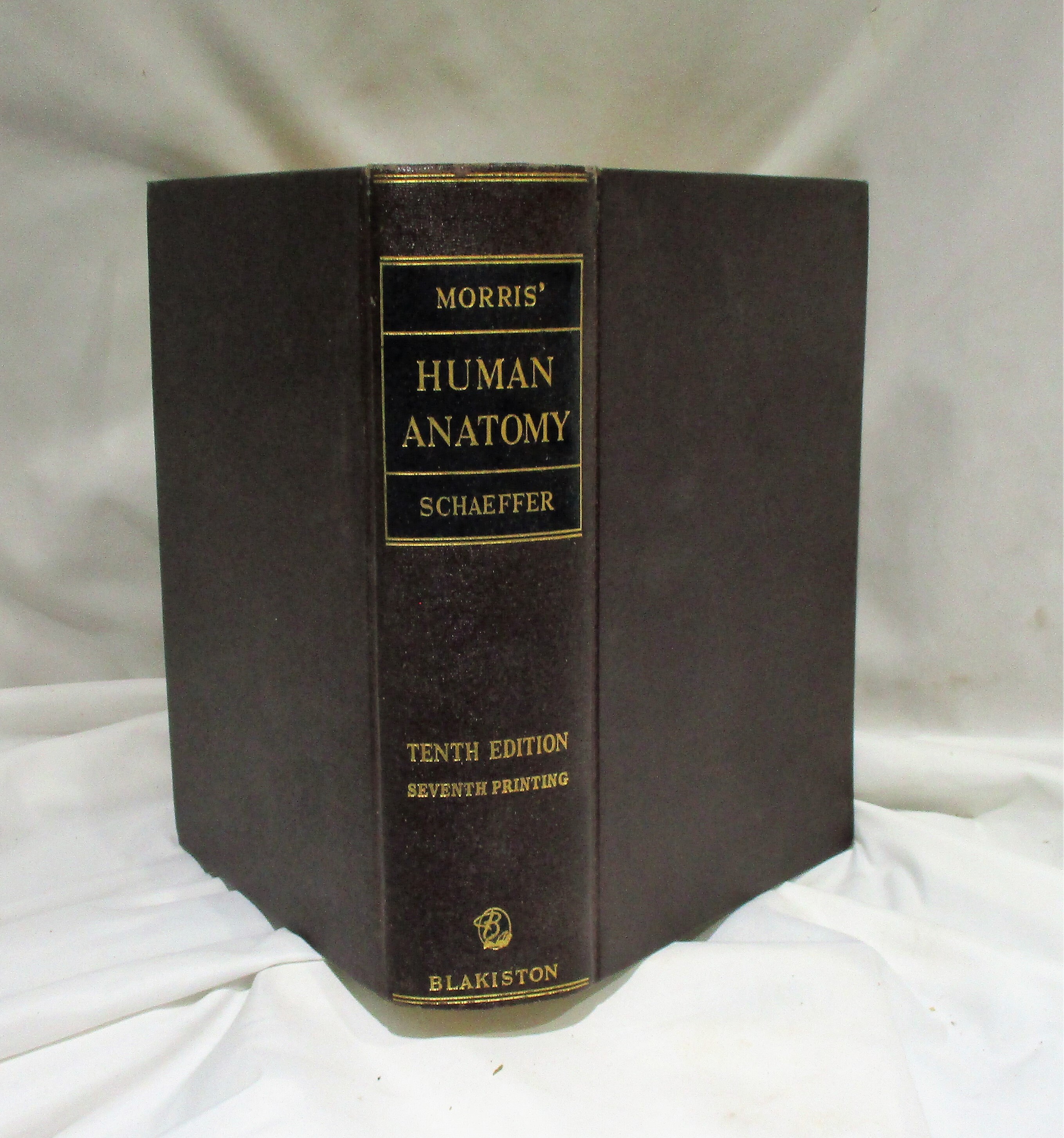1942 Morris Human Anatomy, Classic Anatomy, Dissection, Physiology ...