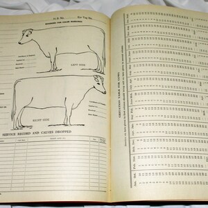 Holstein Friesian Cattle Herd Register - Untouched Vintage Breeding ...