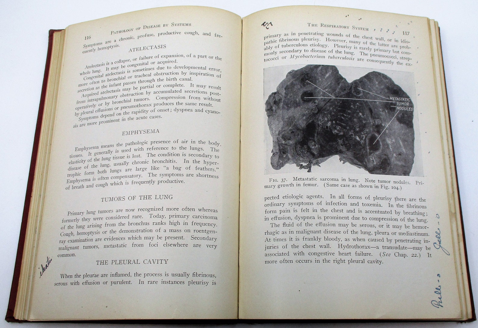 1942 Medical Science Textbook: Pathology, Nursing, Anatomy - Etsy