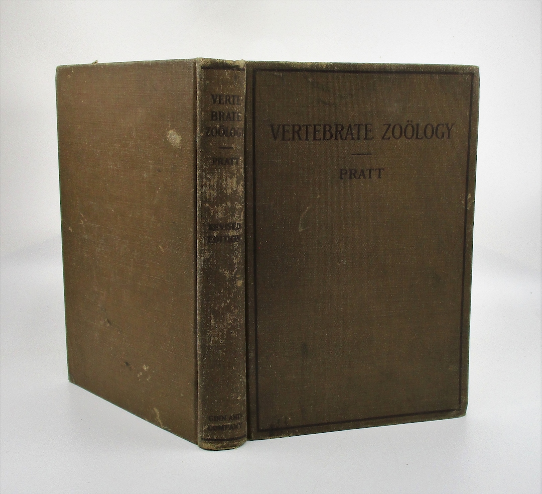 1925 Vertebrate Zoology, Biology, Natural Sciences Book, Fossils ...