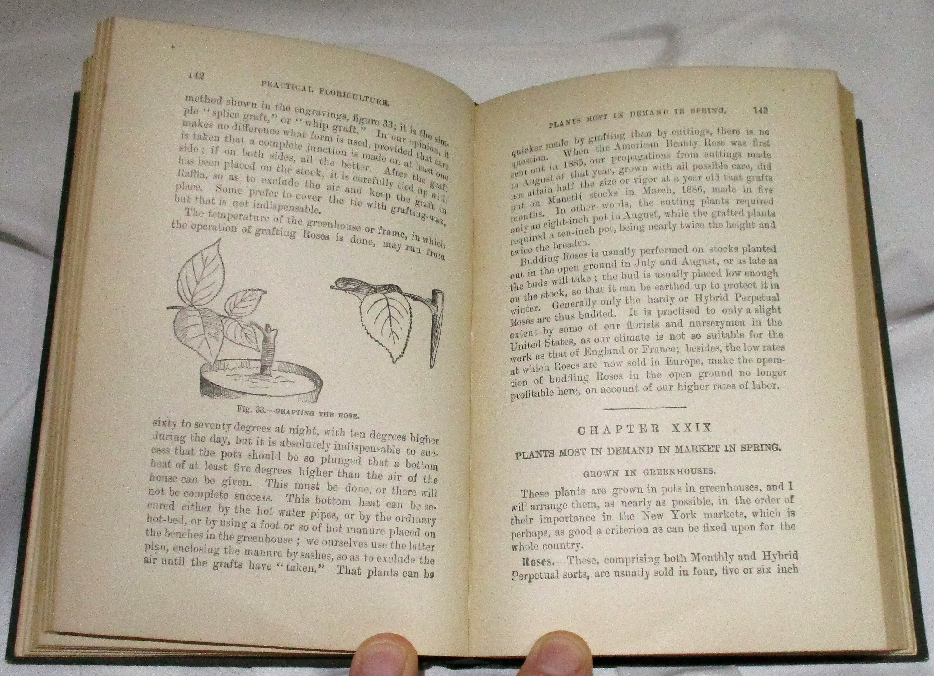 1909 Practical Floriculture, Vintage Book on Garden Design, Botany ...