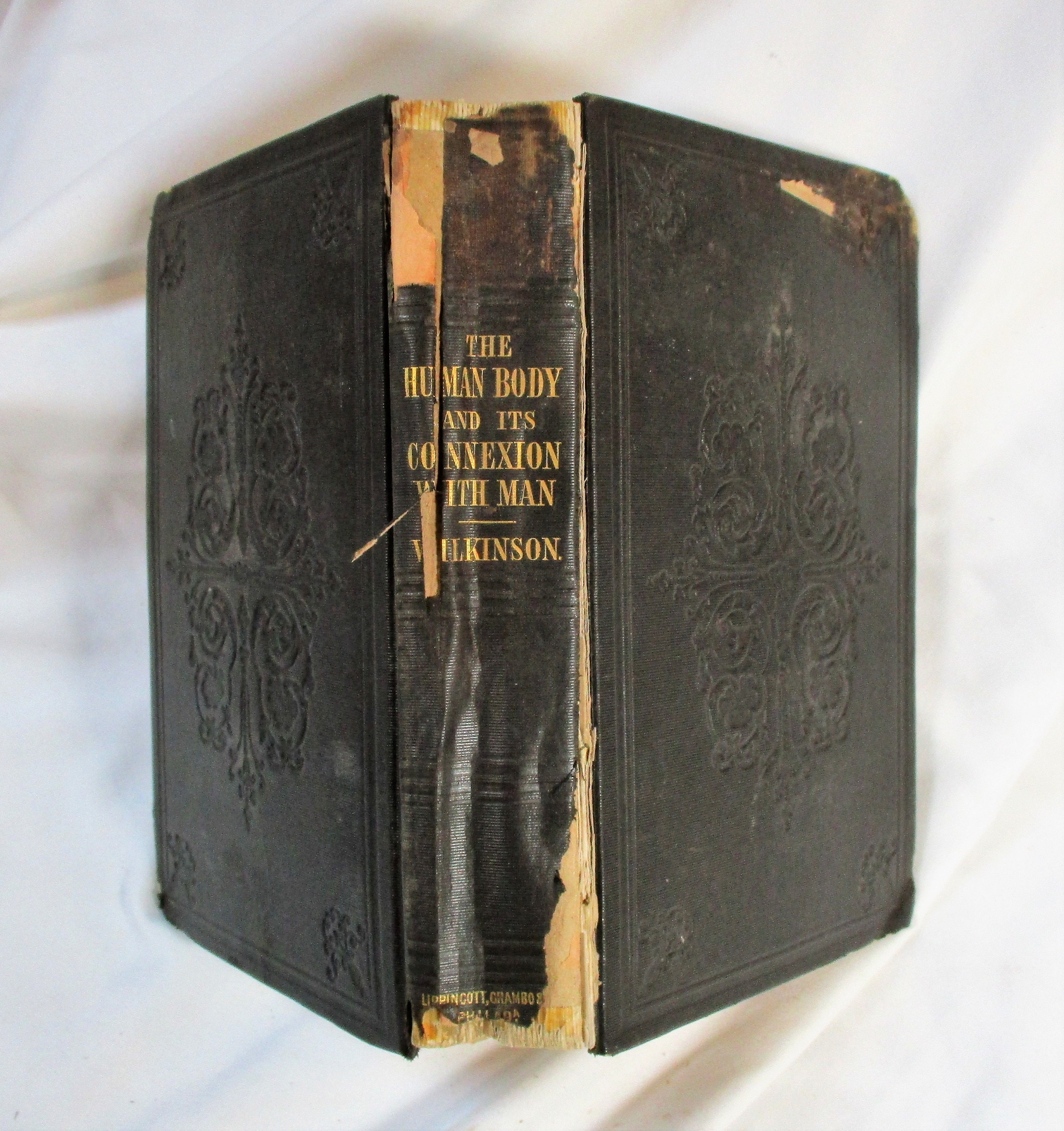1851 Human Body and Human Physiology Early Anatomy and - Etsy