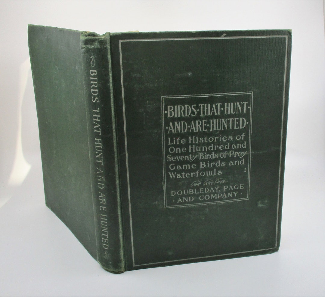 1902 Ornithology Book: Birds of Prey & Waterfowl, Illustrated - Etsy