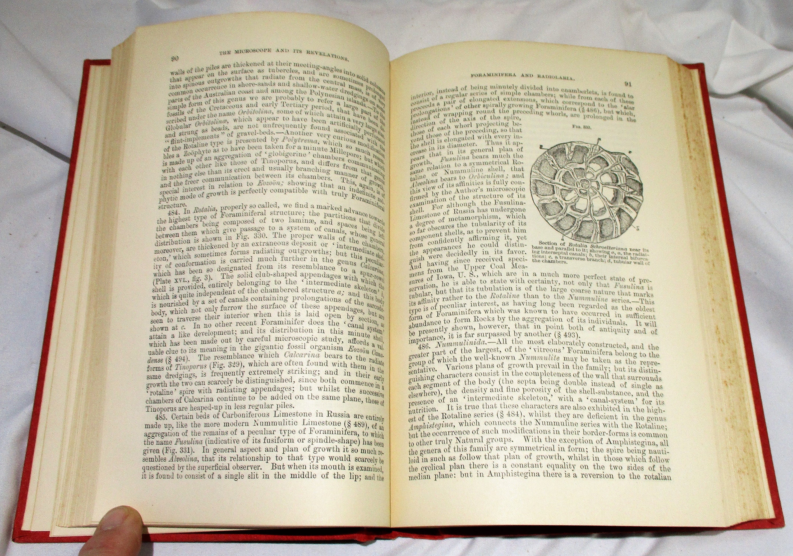 1883 the Microscope and Its Revelations, Volume 2, Early Anatomy and ...