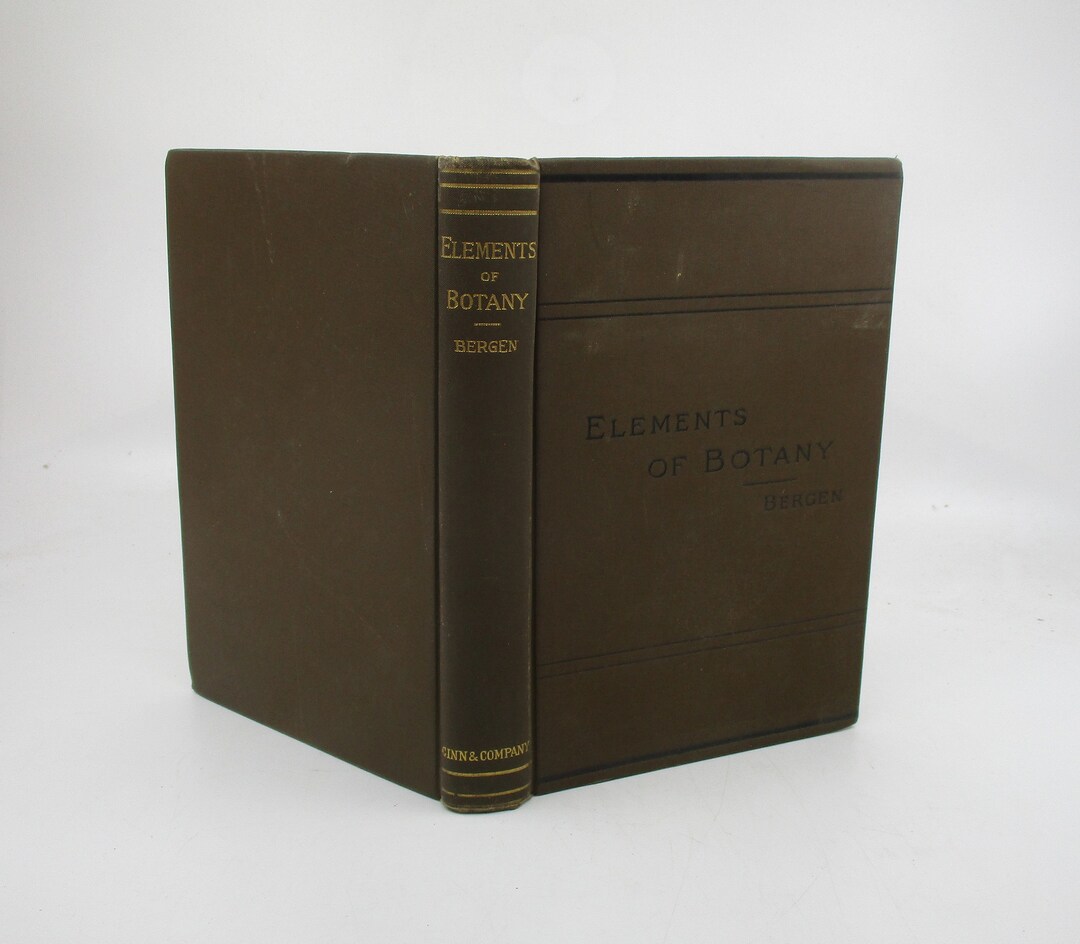 1900 the Elements of Botany, Old Flowering Plants and Ferns Book ...