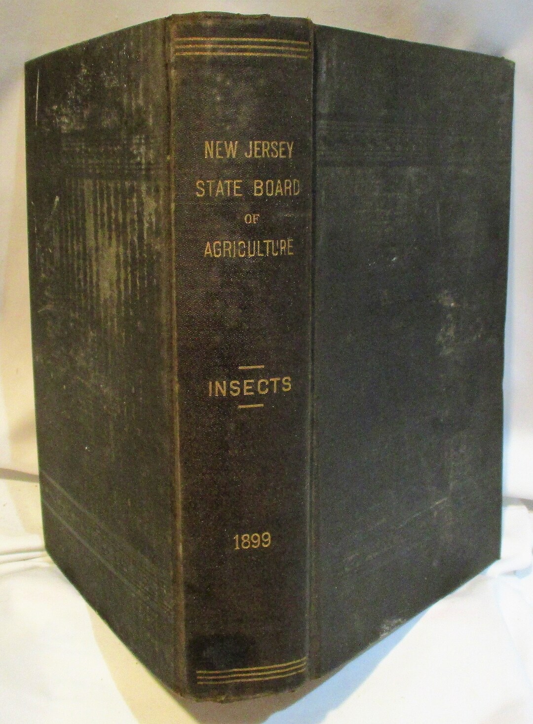 1899 Insects of New Jersey, American Farm, Farming, Orcharding, and ...