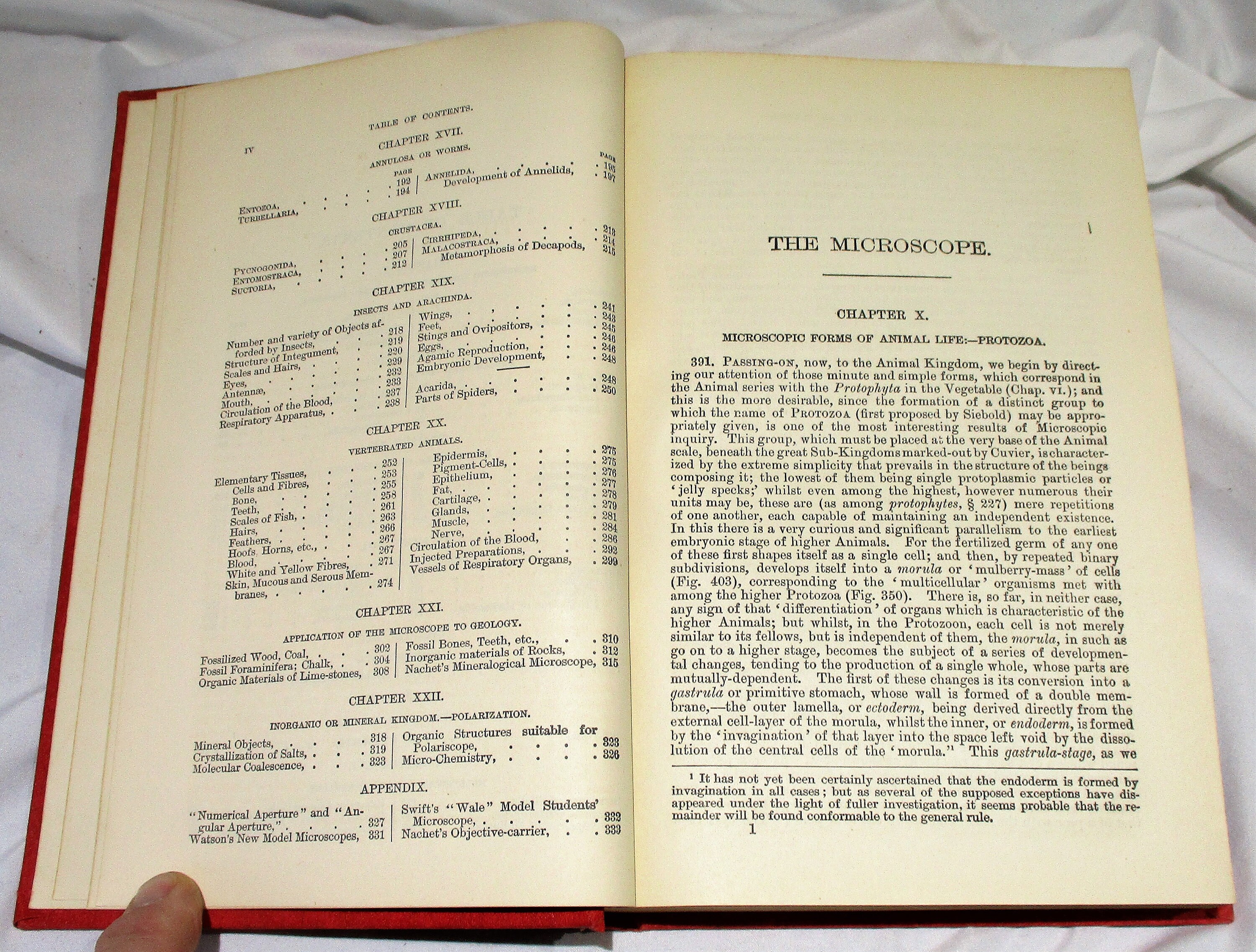 1883 the Microscope and Its Revelations, Volume 2, Early Anatomy and Medicine Book, 19th Century ...
