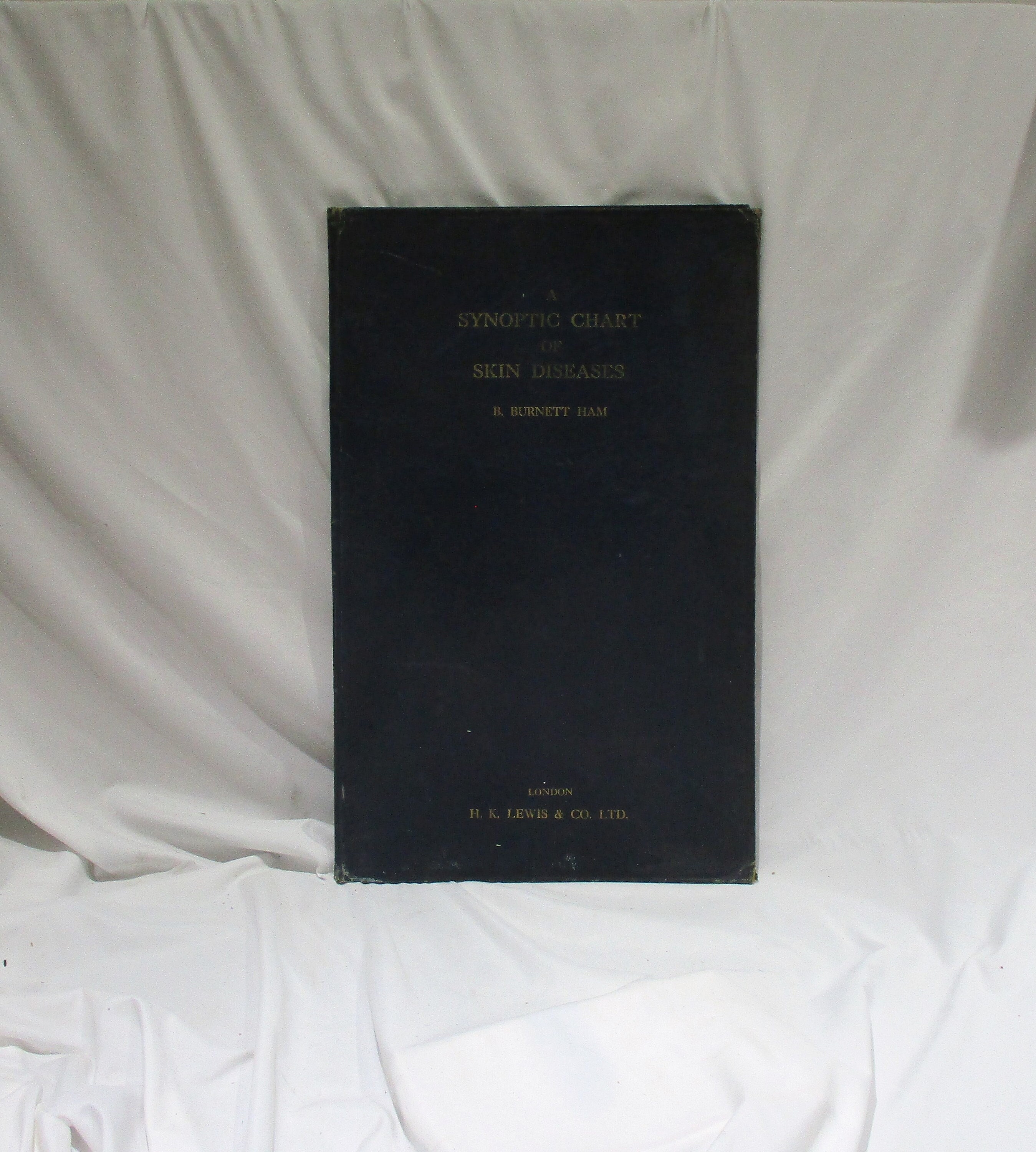 1923 Synoptic Chart of Skin Diseases: Vintage Medical Book With Color ...