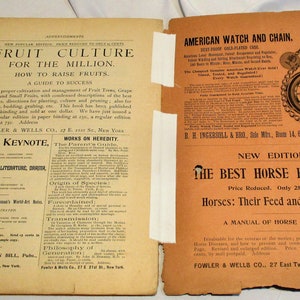 1894 Phrenological Journal of Sciences and Health, 19th Century Quack ...