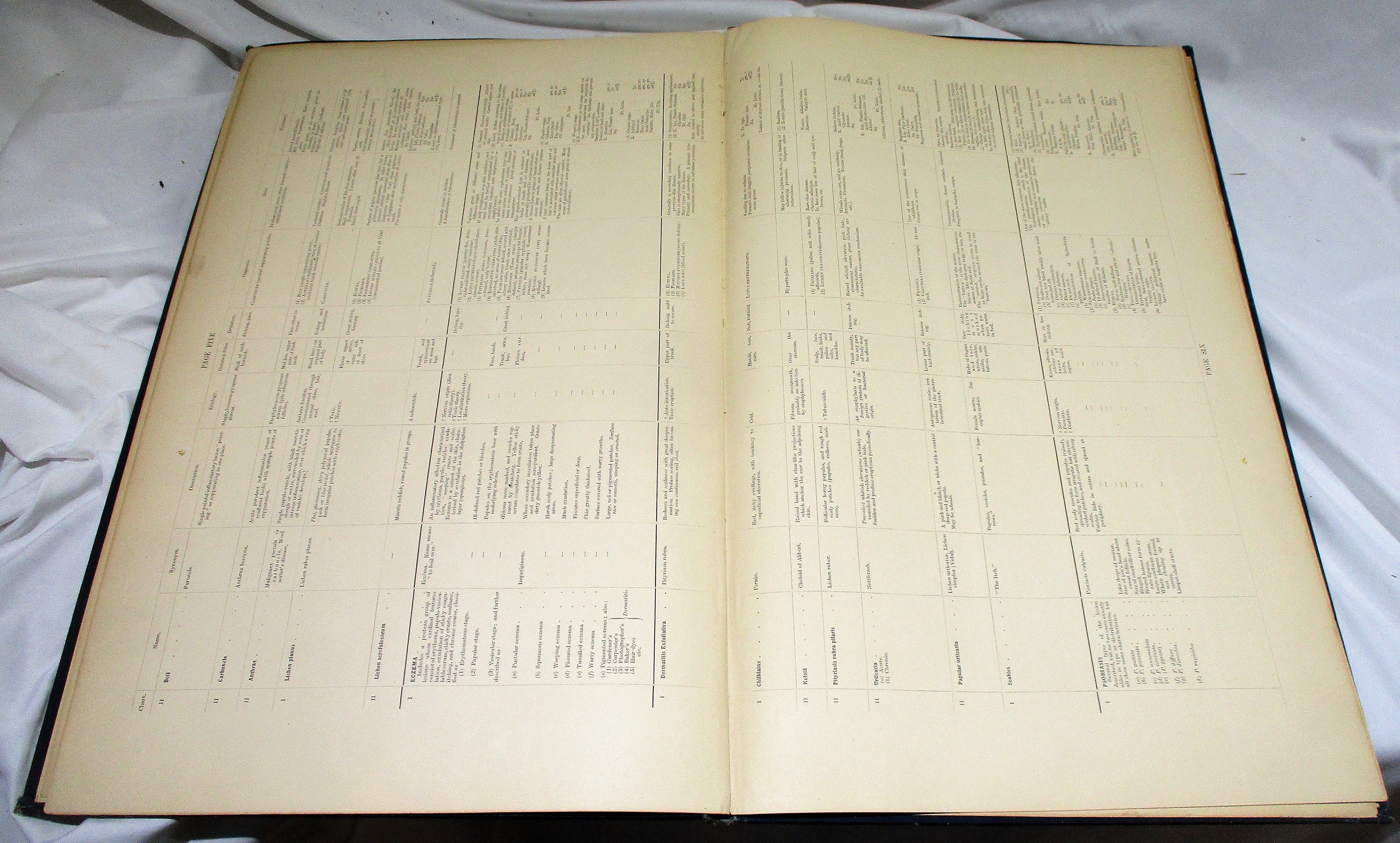 1923 Synoptic Chart of Skin Diseases: Vintage Medical Book With Color ...
