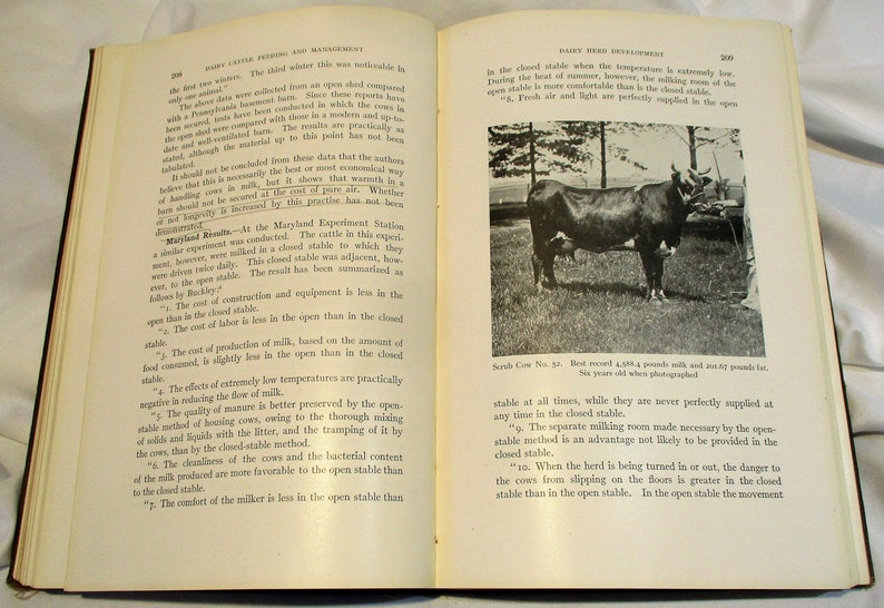1917 Dairy Cattle Feeding & Management Handbook: Antiquarian ...