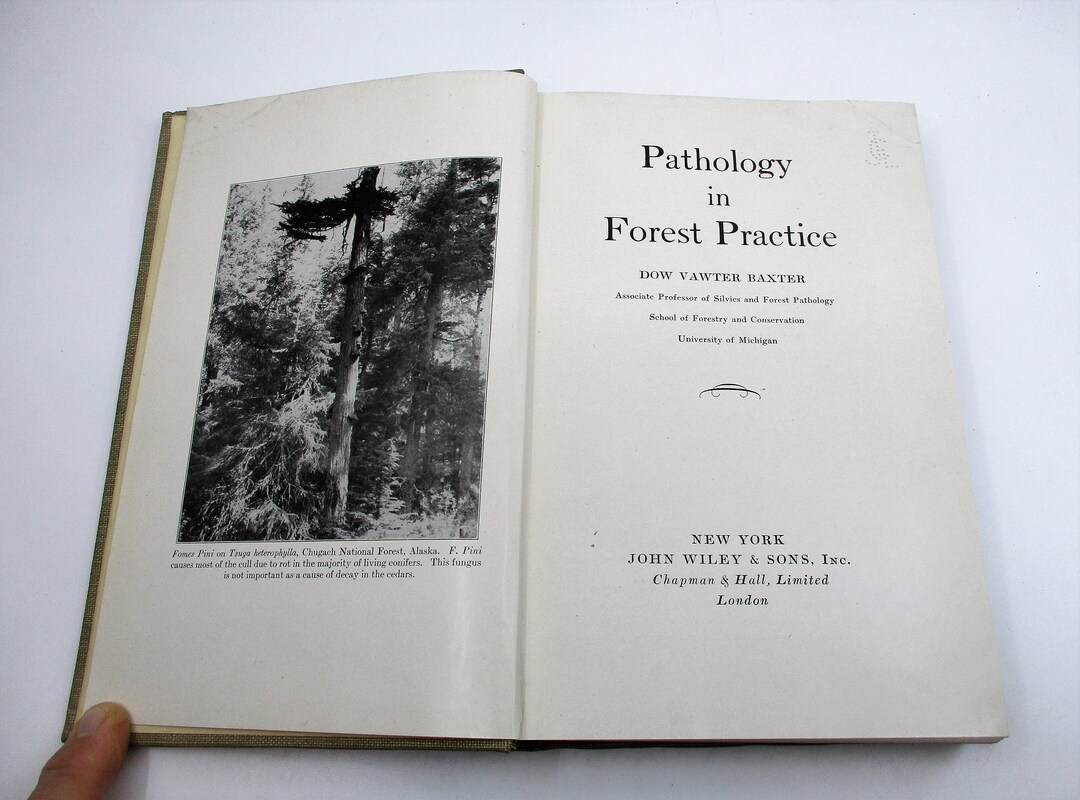 1943 Pathology in Forest Practices, American Agricultural, Entomology ...