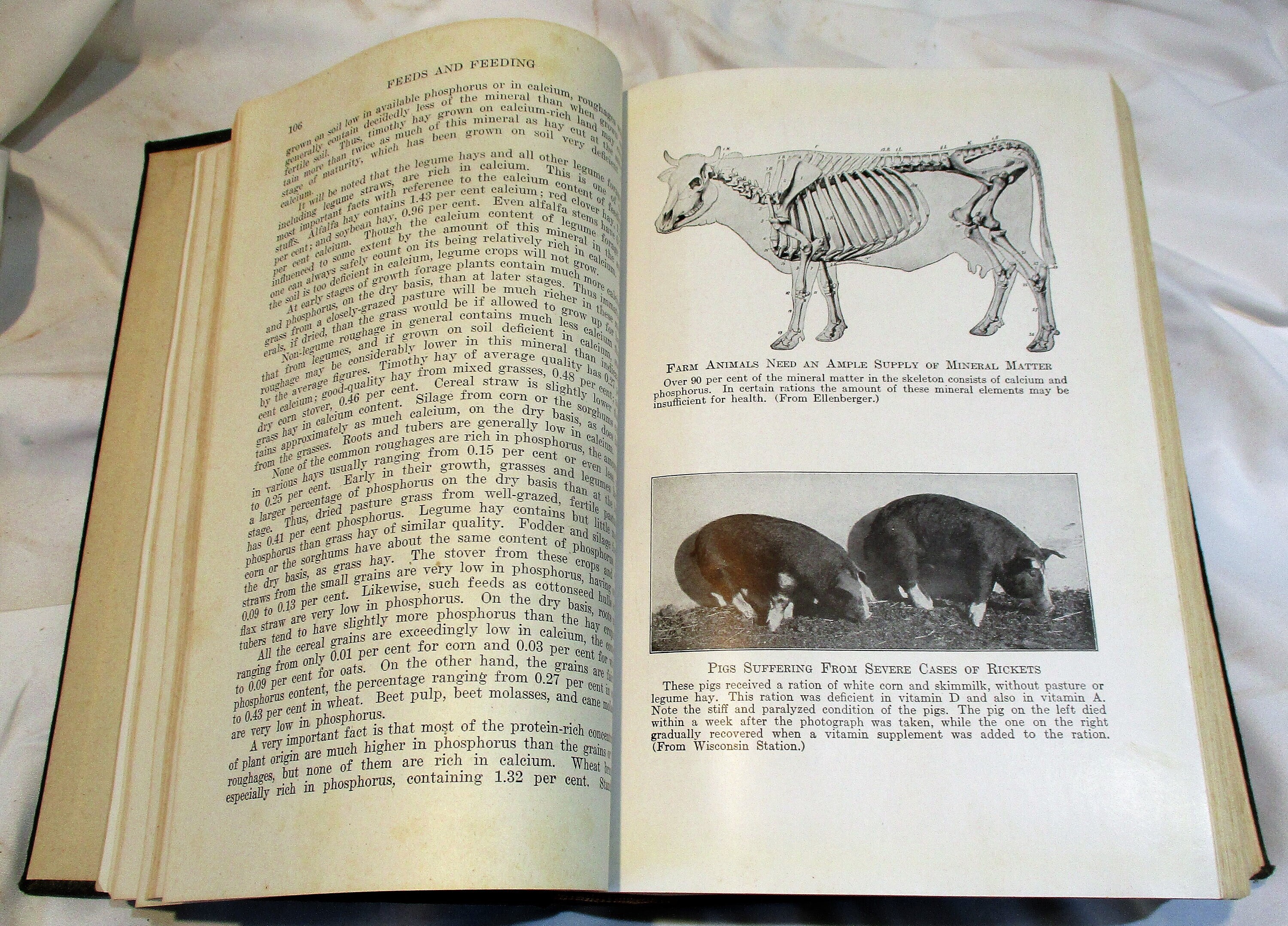 1947 Feeds and Feeding, Agriculture, Farm, Ranch, and Veterinary Book ...