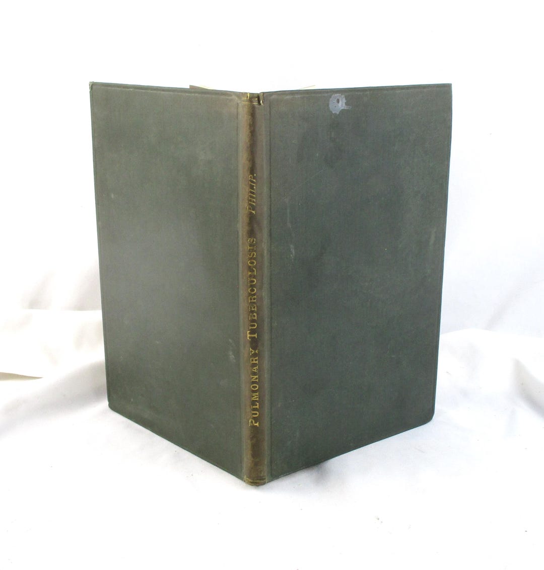 1891 Pulmonary Tuberculosis, Phthisis Physiology, Etiology ...