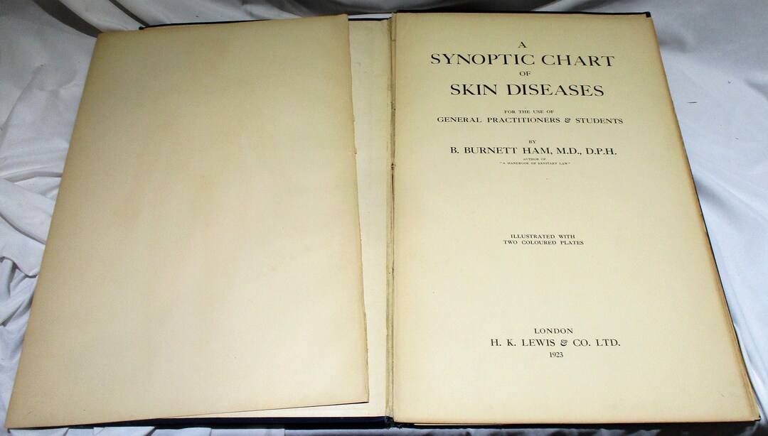 1923 Synoptic Chart of Skin Diseases: Vintage Medical Book With Color ...