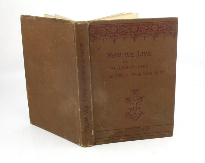 1885 Anatomy Textbook: How We Live, Human Physiology & Hygiene - Etsy