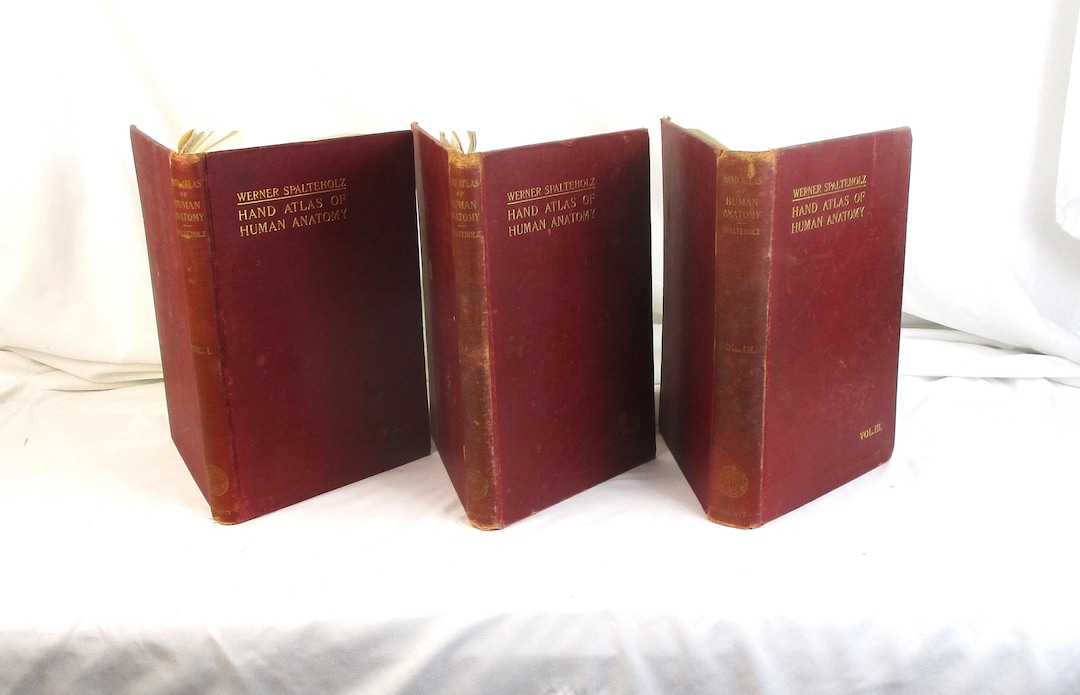 Undated 3 Volume Set, Hand Atlas of Human Anatomy, Physiology, Internal ...