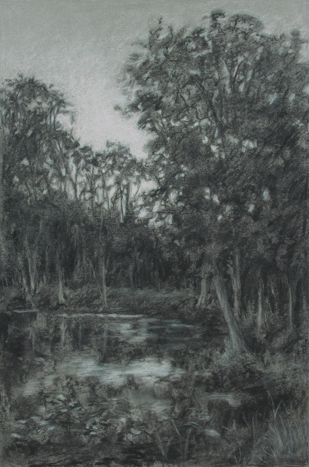 Lagoon Trees and Shore Charcoal Drawing Original, Handmade Artwork - Etsy