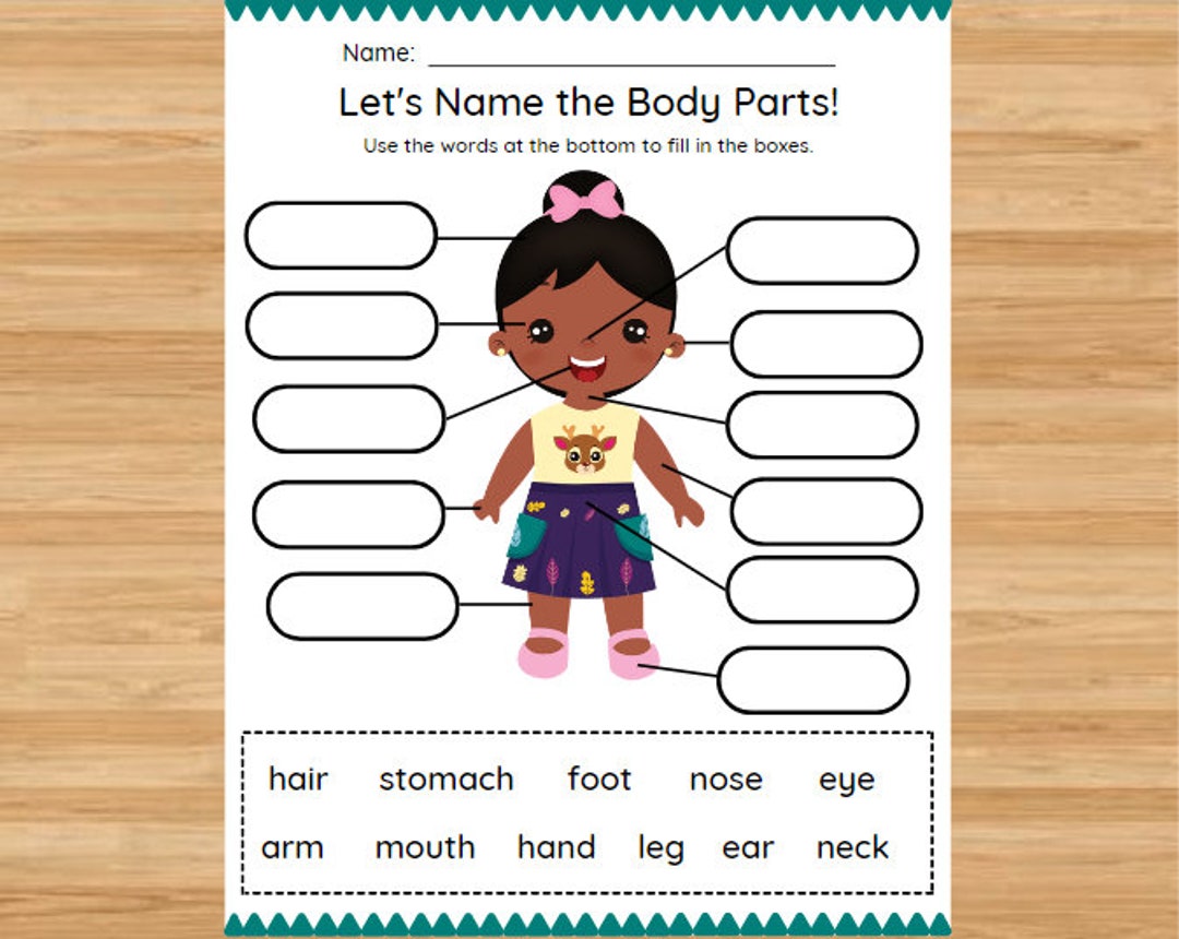 Feuille De Travail Sur Les Parties Du Corps Feuilles De Travail Sur
