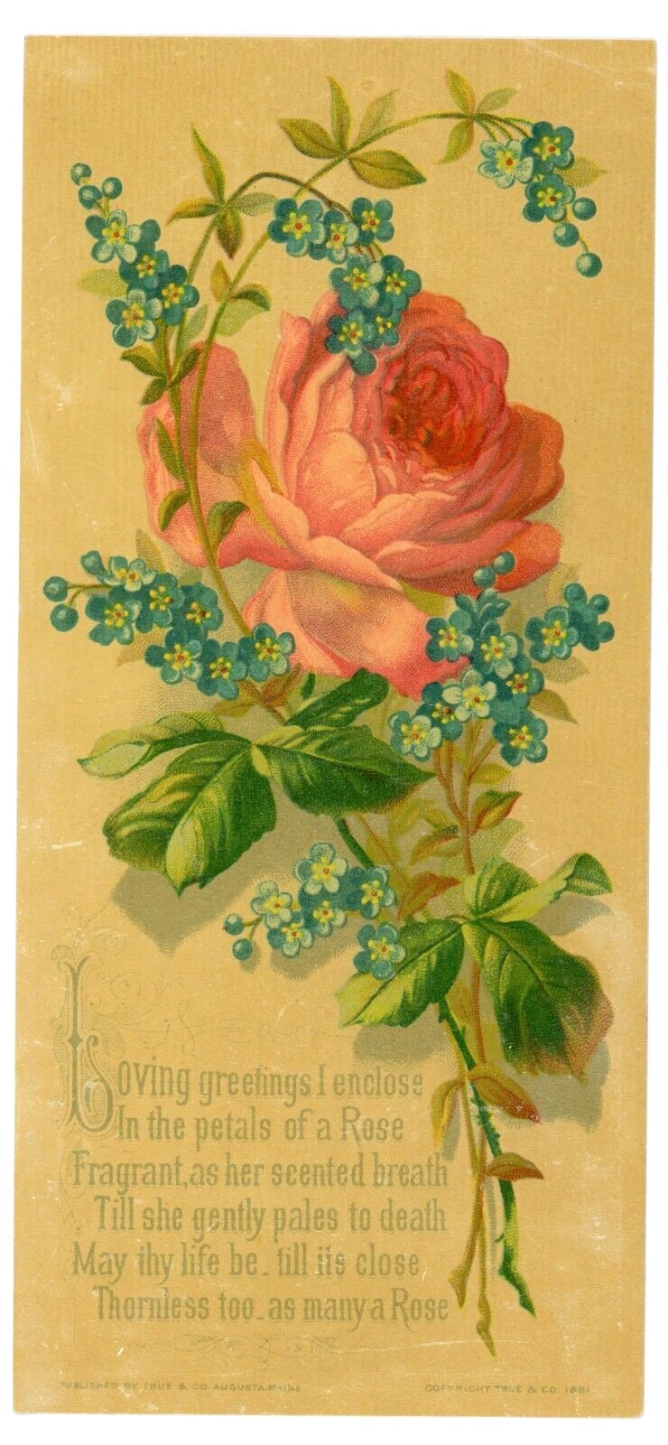 1880-90's Beautiful Rose and Poem by True & Co Victorian Trade Card FAB ...