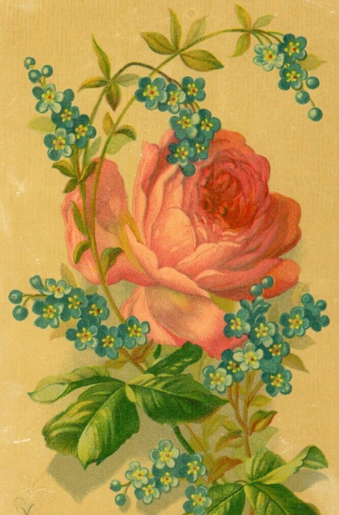 1880-90's Beautiful Rose and Poem by True & Co Victorian Trade Card FAB ...