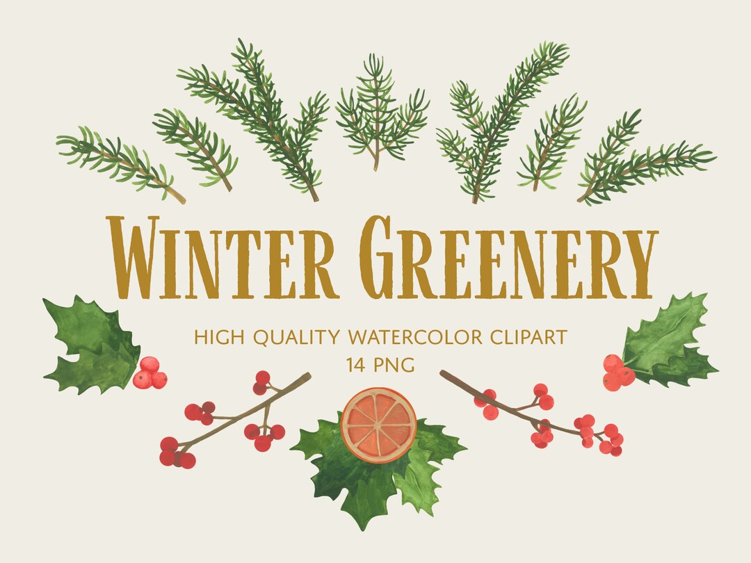 Winter Greenery Clipart, Watercolor Christmas Clipart, PNG Digital ...