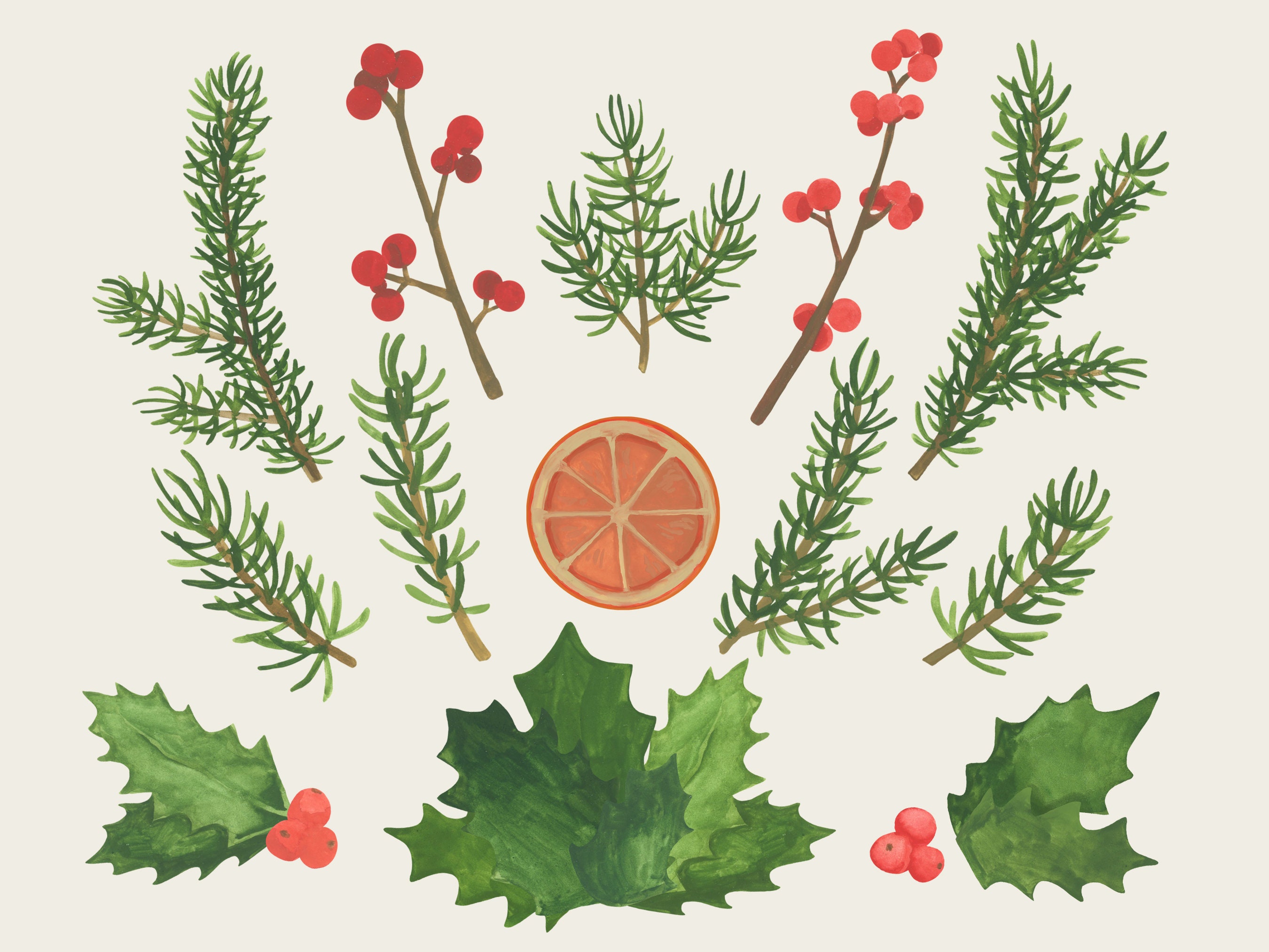 Winter Greenery Clipart, Watercolor Christmas Clipart, PNG Digital ...