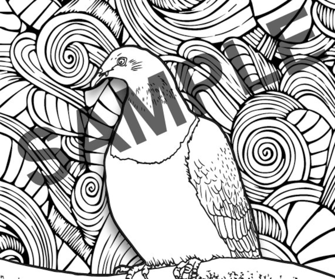 Birds Multipage Pattern Coloring Pack 20 Images to Color - Etsy