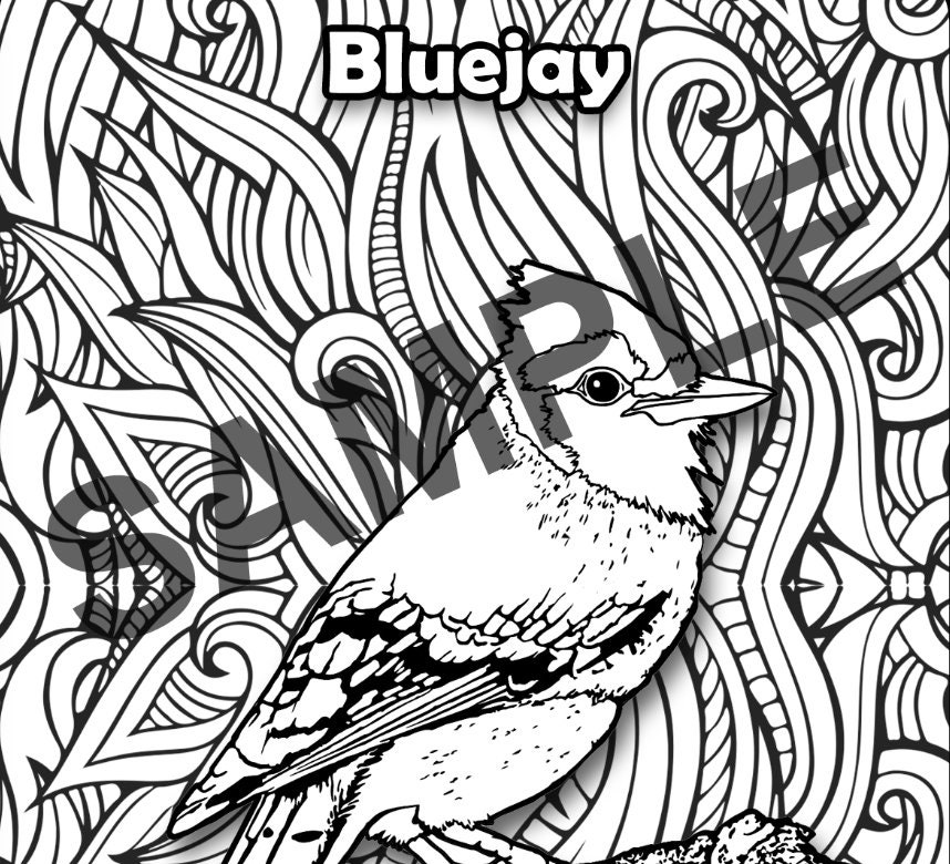 Birds Multipage Pattern Coloring Pack 20 Images to Color - Etsy